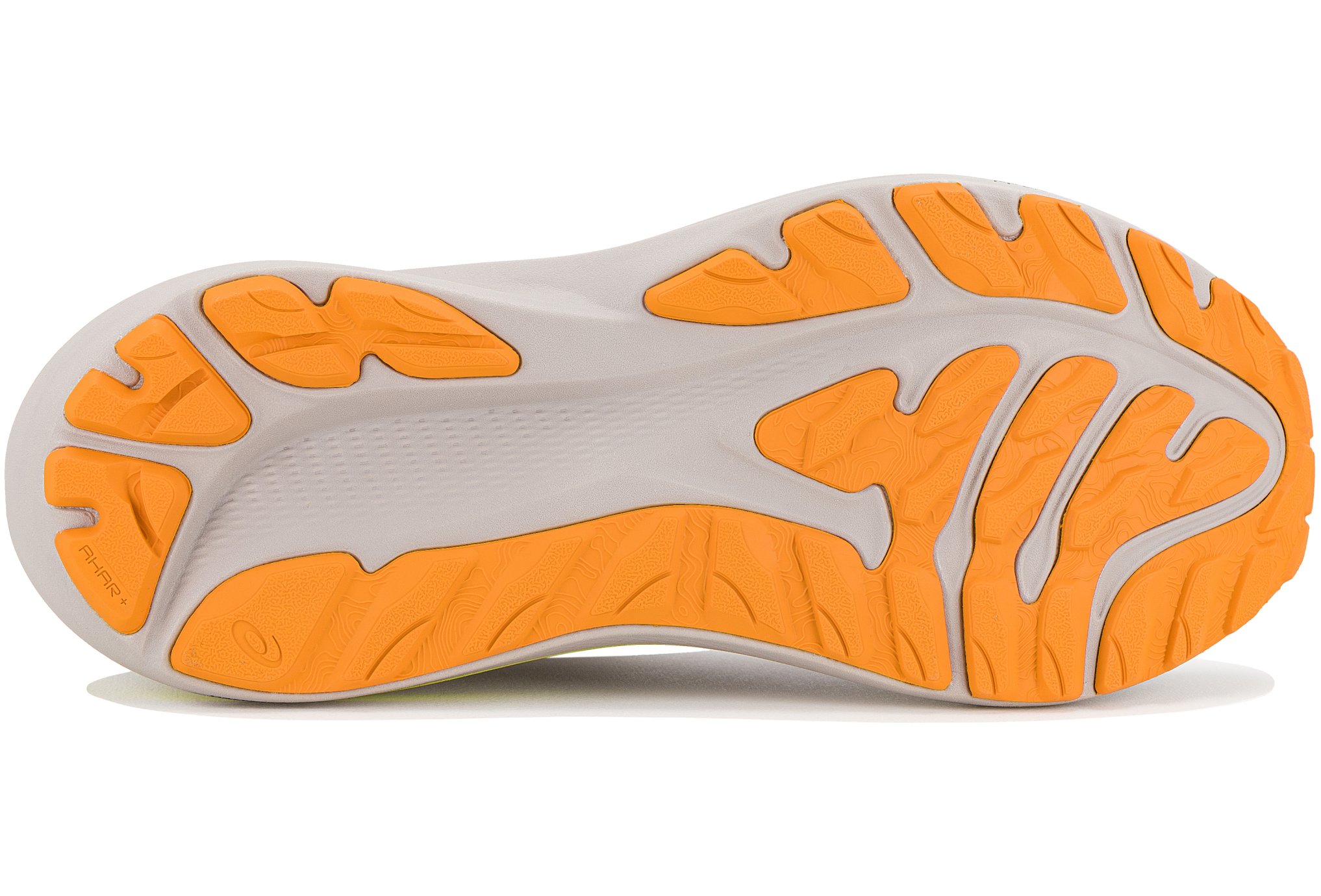 Asics GT-2000 12 TR en promoción | Hombre Zapatillas Terrenos mixtos Asics