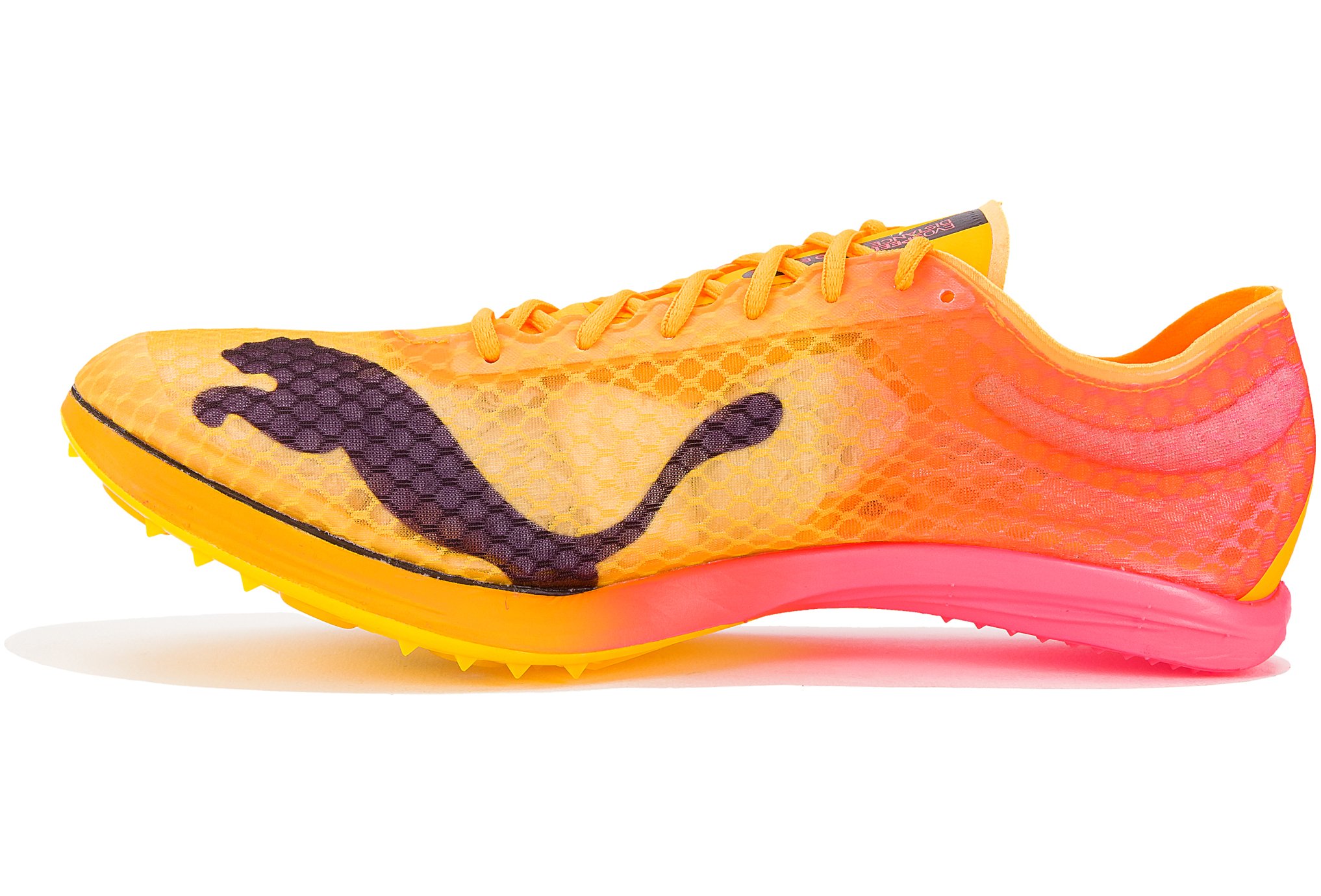 Puma evoSPEED Distance Nitro Elite+ M homme pas cher